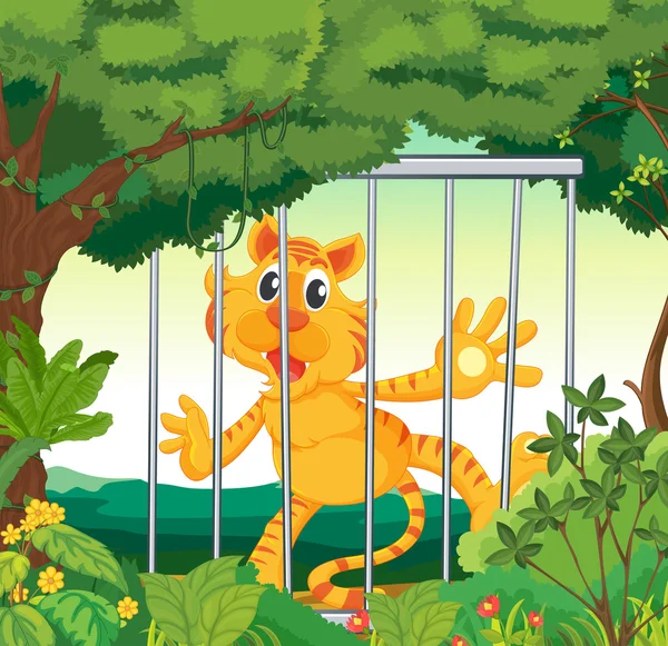 A forest with a tiger inside a cage - Stock Image - Everypixel
