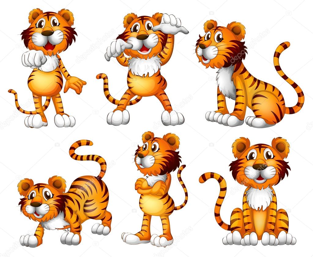 Six positions of a tiger Stock Vector Image by ©interactimages #24595813
