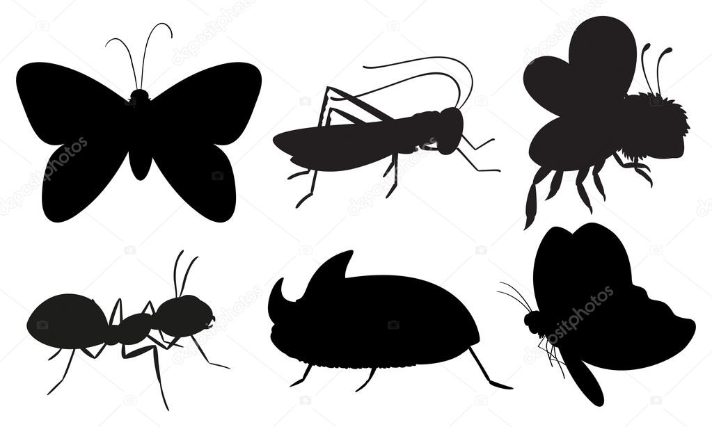 Black colored insects Stock Vector Image by ©interactimages #24927933