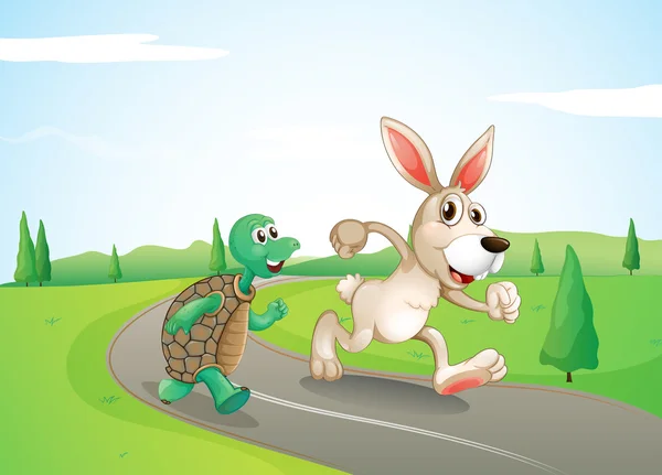 Turtle Race Cartoon