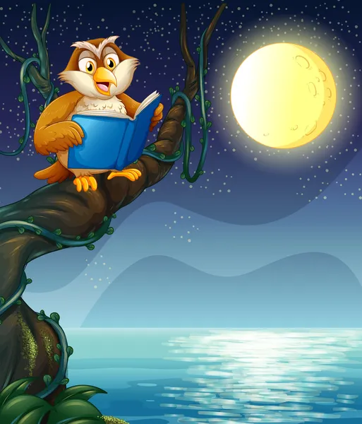 Estudio buho imágenes de stock de arte vectorial | Depositphotos