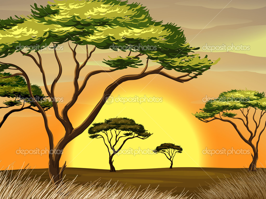 Una vista al atardecer en el bosque Vector de stock #32060339 de ...