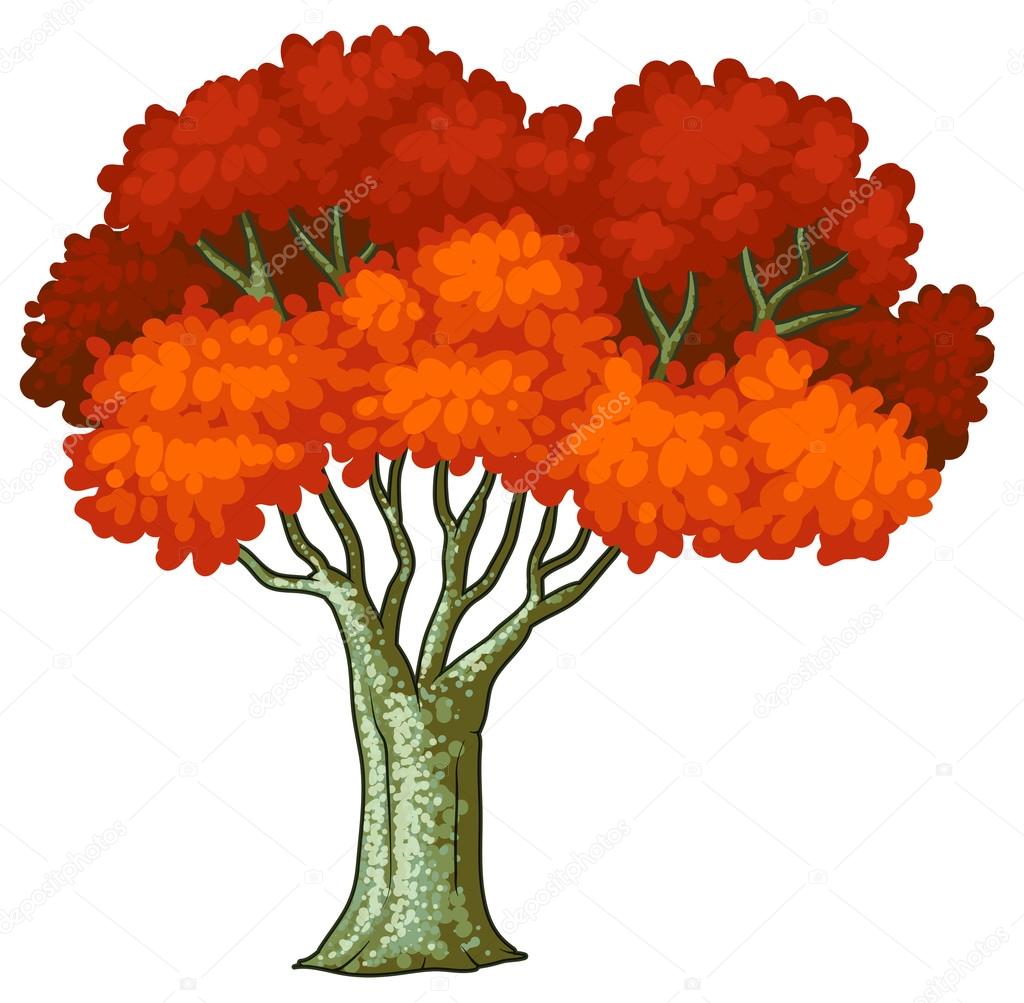 A tree with red leaves Stock Vector Image by ©interactimages #32639543