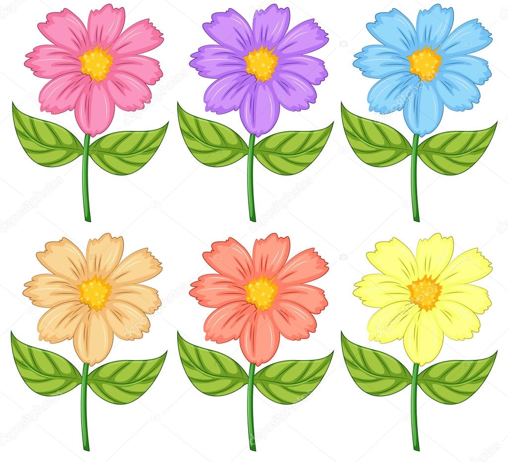 Six colorful flowers Stock Vector by ©interactimages 35713677