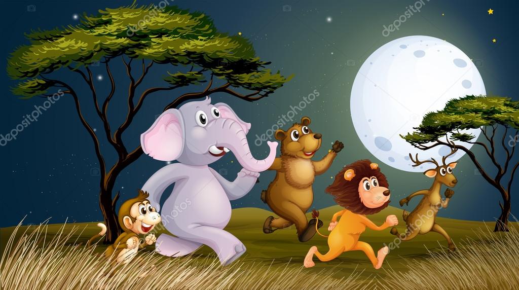 Walking Animals Animation