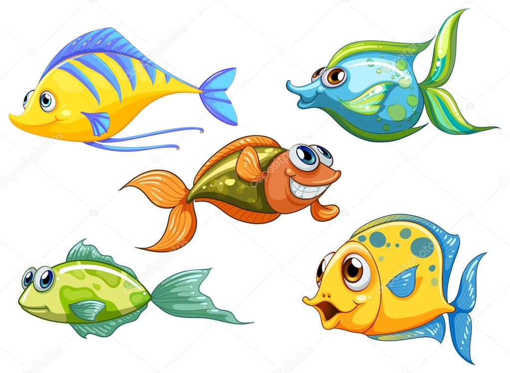 Cinco peces de colores 2024