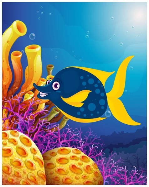 A big smiling fish near the coral reefs - Stock Image - Everypixel