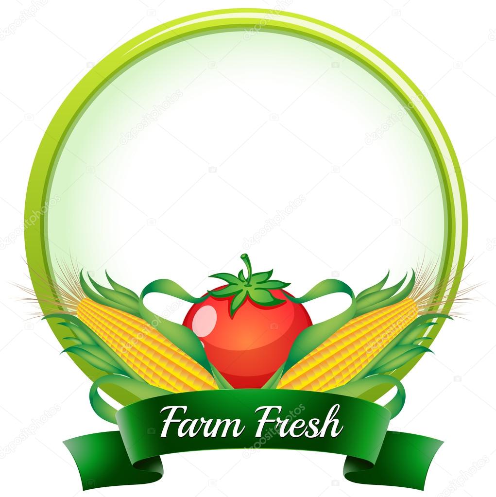 A farm fresh label with corns and tomato Stock Vector by ...