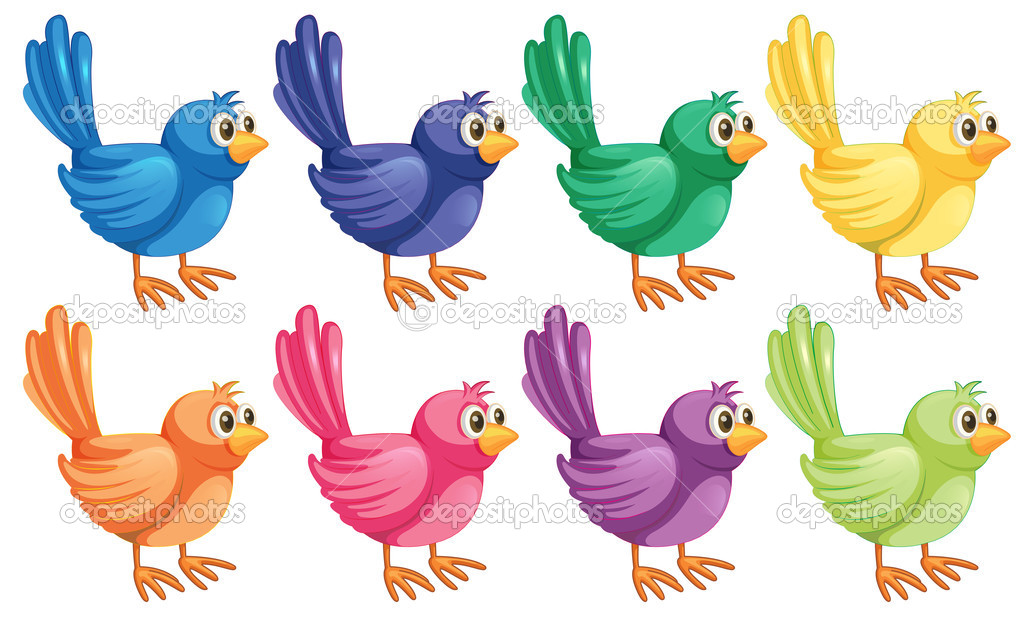 Colorful Bird Clipart