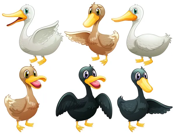Ducks Eating Clip Art