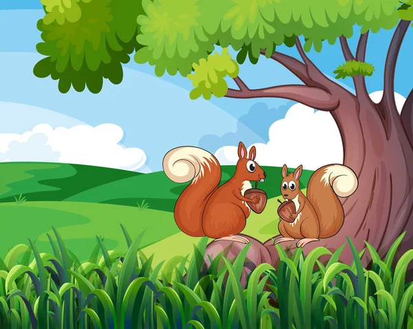 Two wild animals under the tree - Stock Image - Everypixel