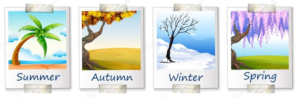 Seasons artwork Stock Vector Image by ©interactimages #51084875