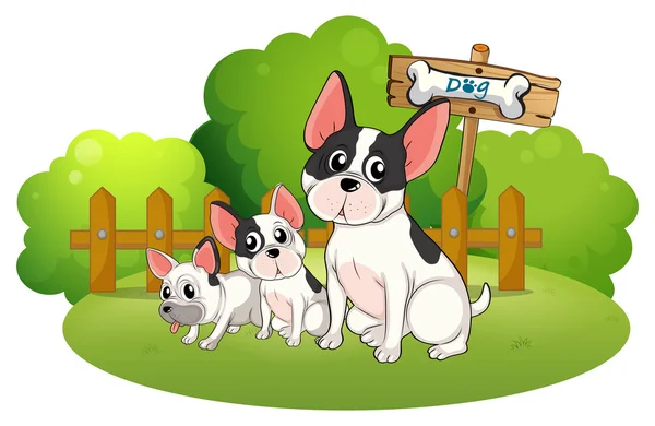 Tres perros imágenes de stock de arte vectorial | Depositphotos