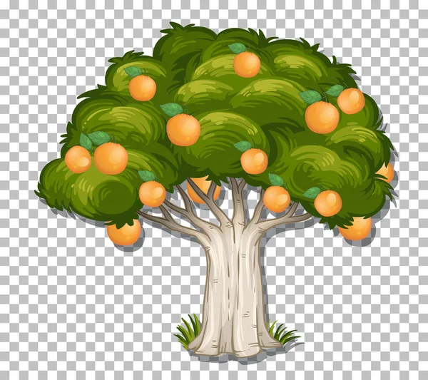 Orange Tree Isolated White Background Illustration Stock Illustration ...