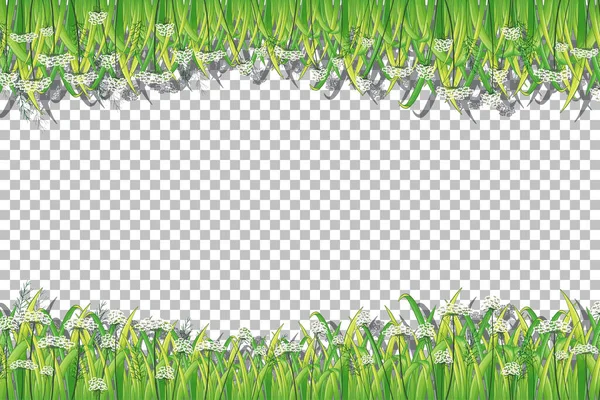 Nature Plants Frame Transparent Background Illustration Stock Vector by ...