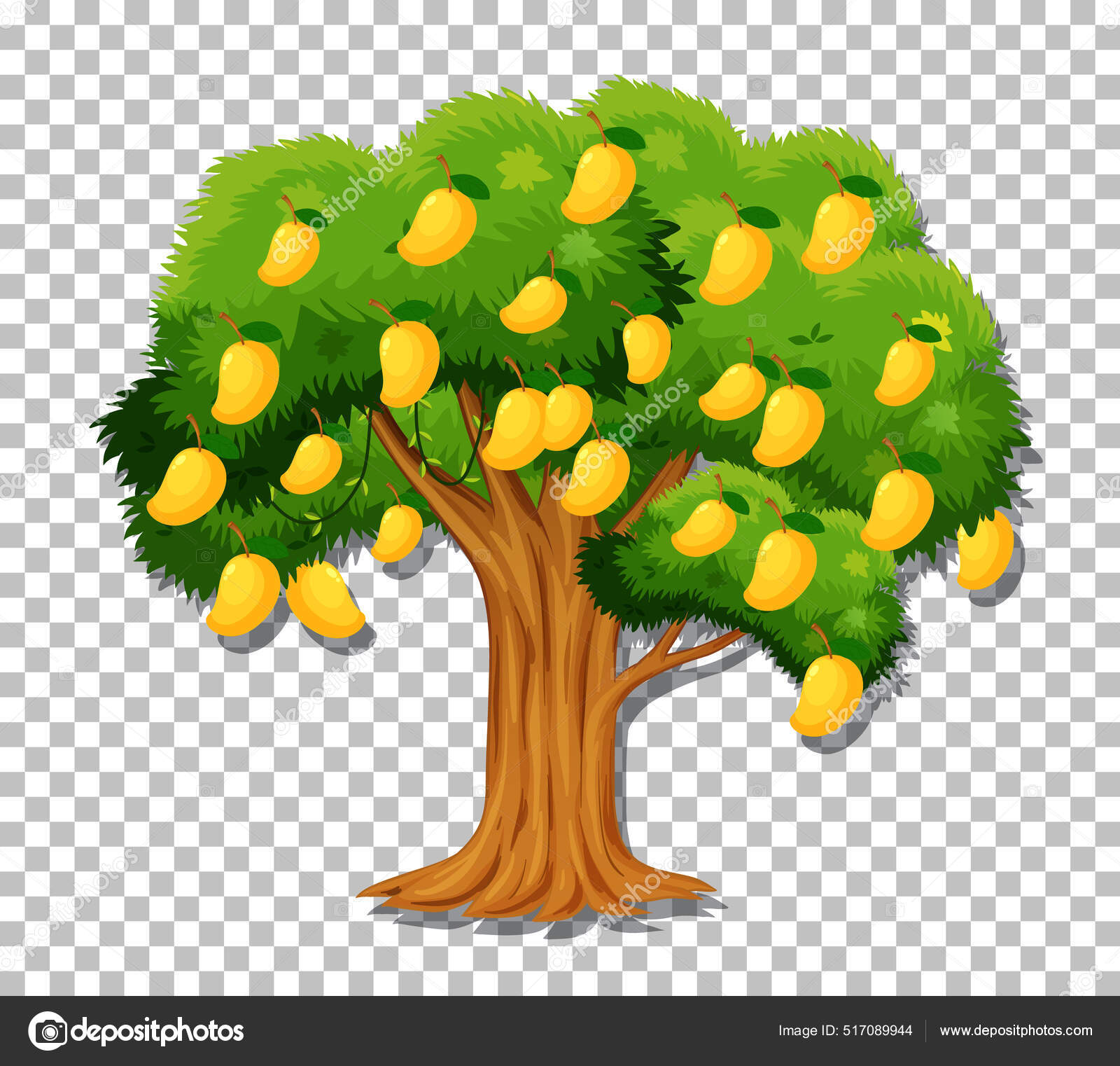 Mango Tree Transparent Background Illustration Stock Vector Image by ...