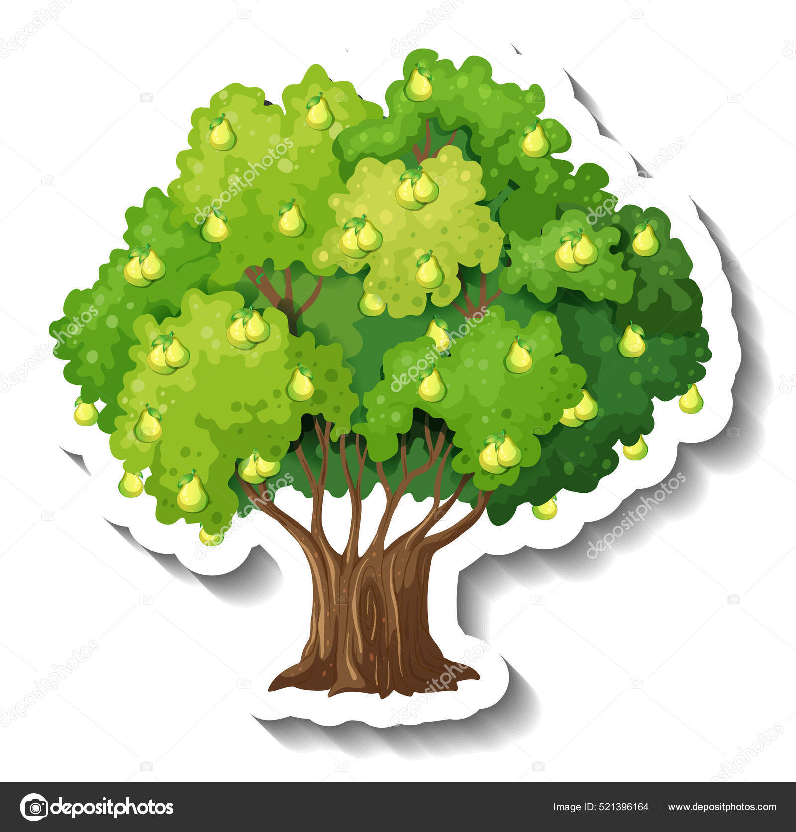 Boom Witte Achtergrond