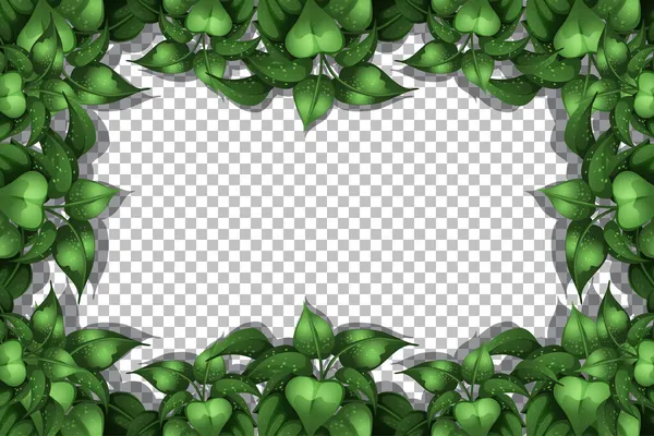 Nature Plants Frame Transparent Background Illustration Stock Vector by ...