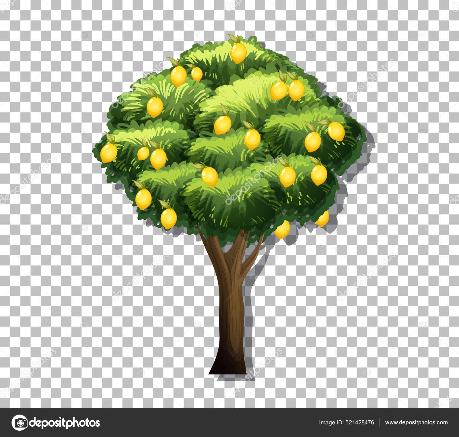 Lemon Tree Transparent Background Illustration Stock Vector by ©interactimages 521428476