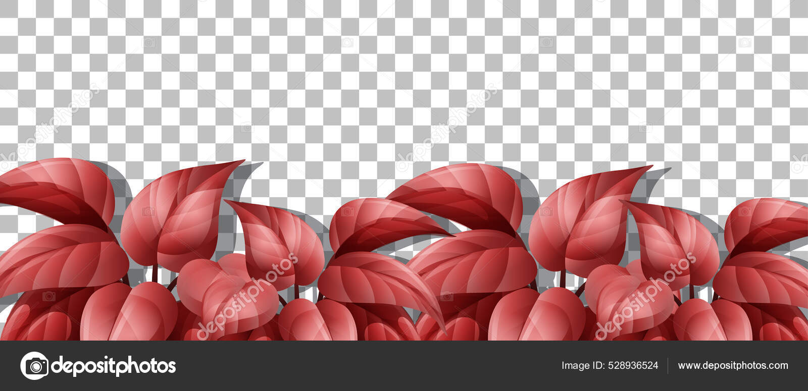 Nature Border Transparent