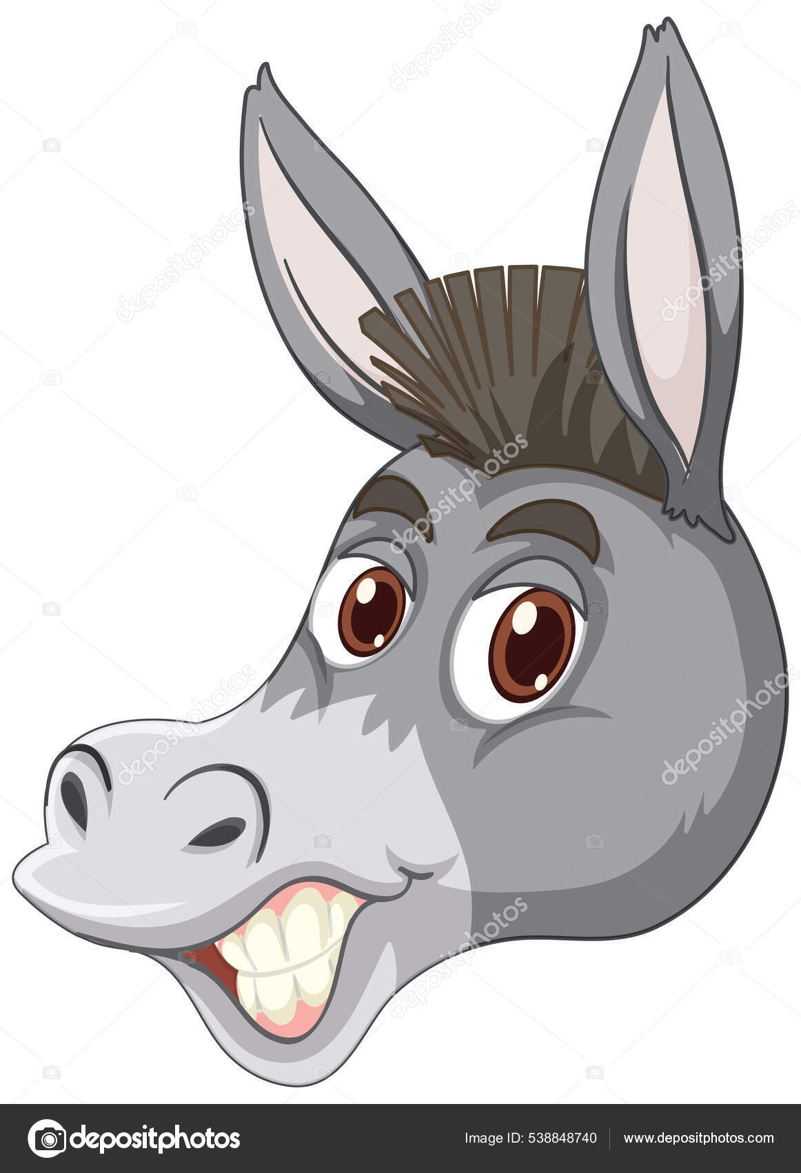 Cartoon Donkey Face