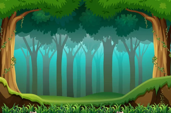 100,000 Cartoon woods background Vector Images | Depositphotos