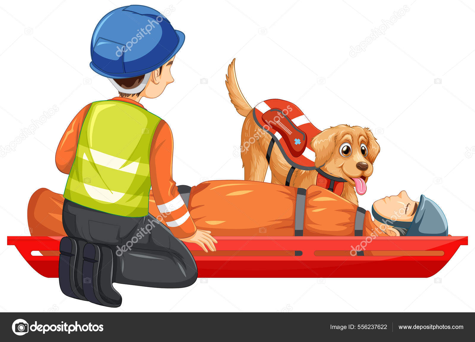 Rescue Using Stretcher White Background Illustration Stock Vector Image ...