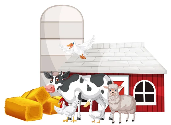 Boerderij pluimvee imágenes de stock de arte vectorial | Depositphotos