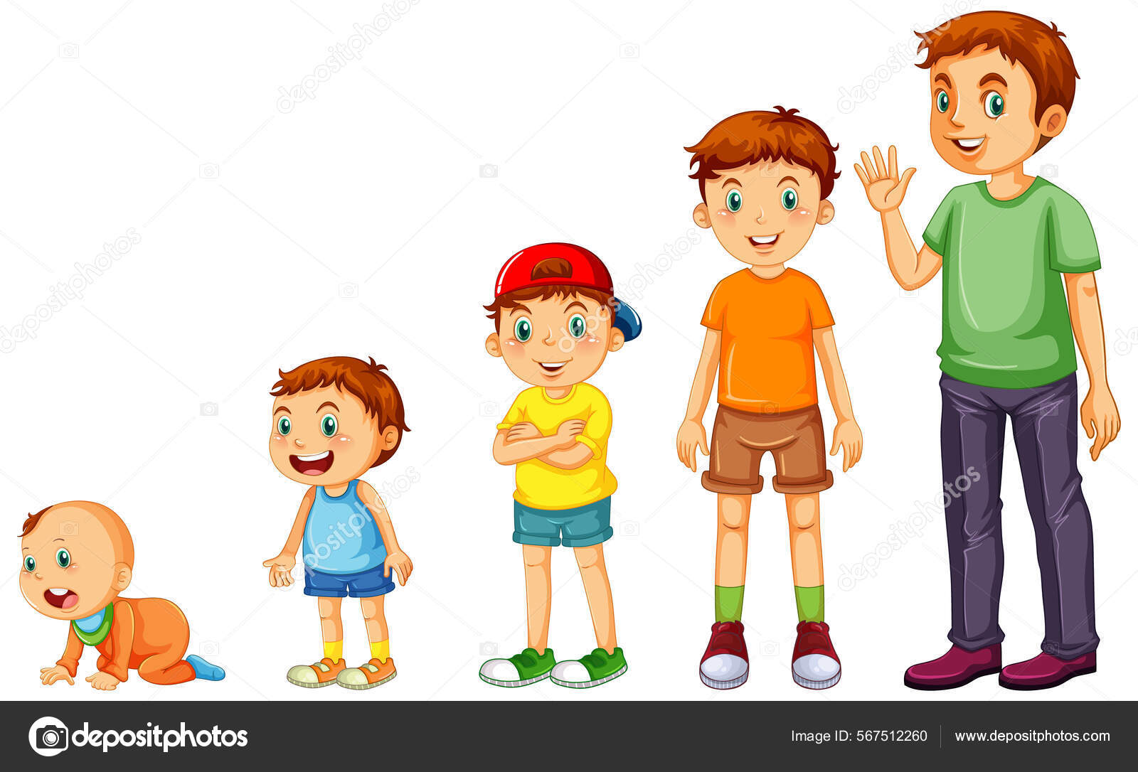 Stages Of Human Growth For Kids