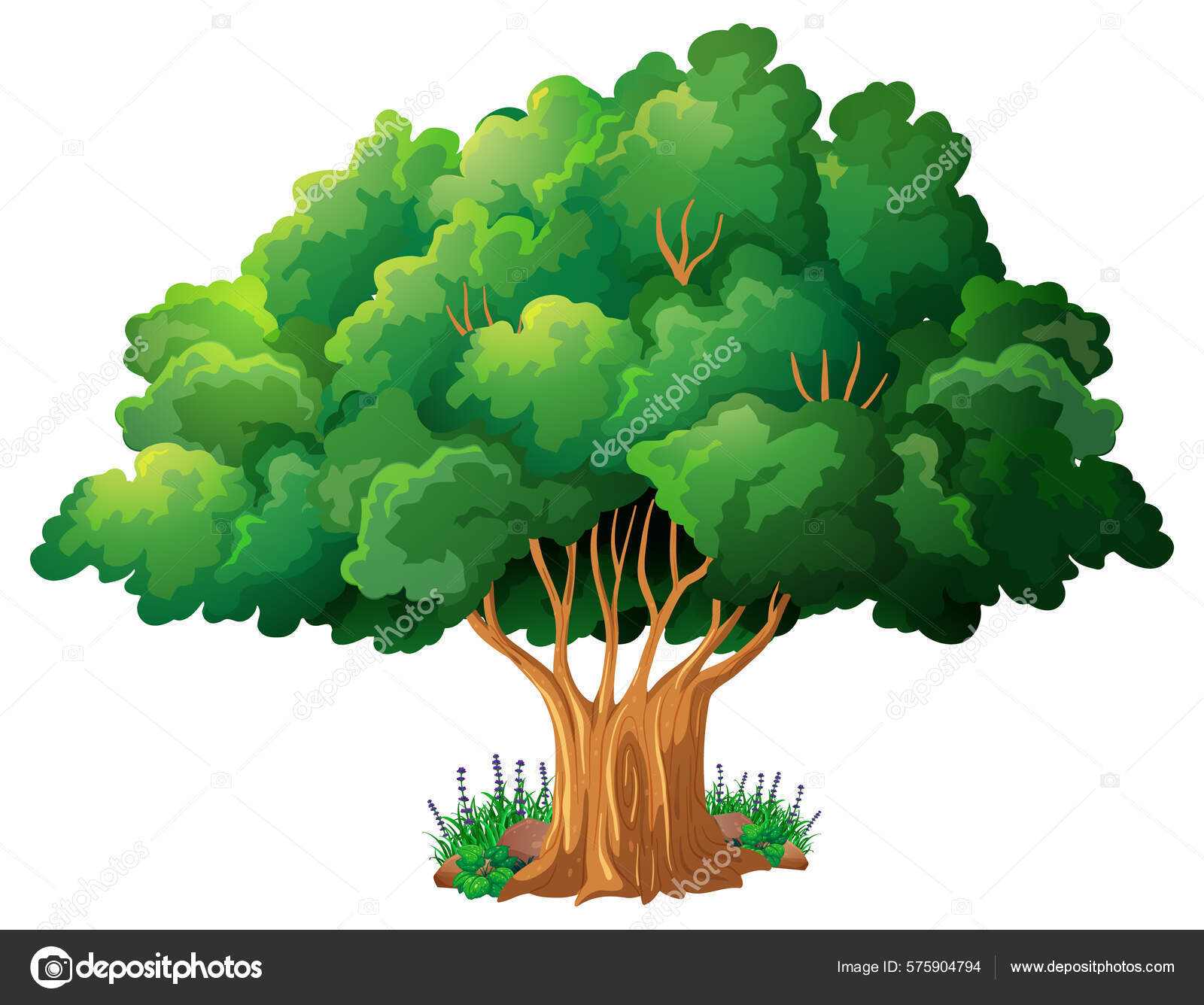 Big Tree Isolated Cartoon Illustration Stock Vector by ©interactimages ... Big Tree Isolated Cartoon Illustration Stock Vector by ©interactimages ...