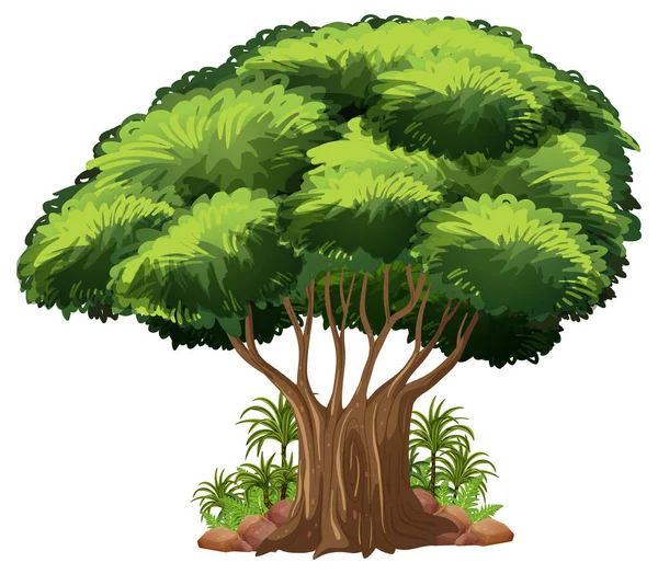 Banyan Tree Animated