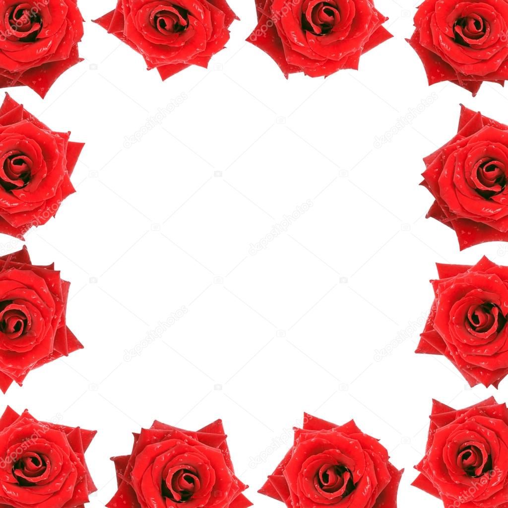 Flower frame border red velvet roses with dew drops. — Stock Photo ...