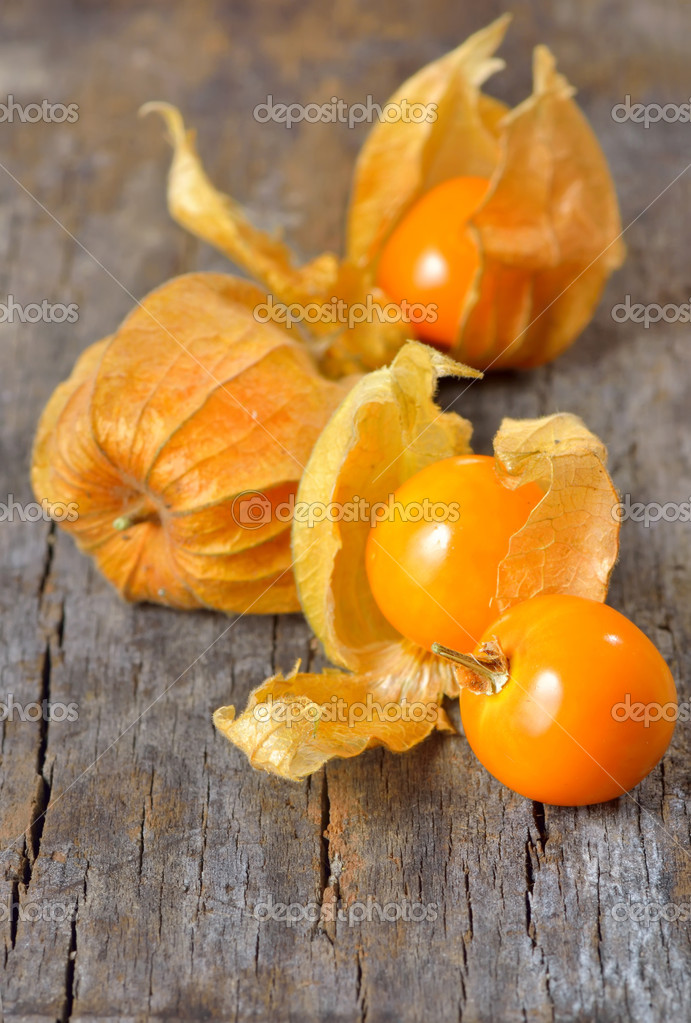Physalis fruit Stock Photo by ©mady70 42053829