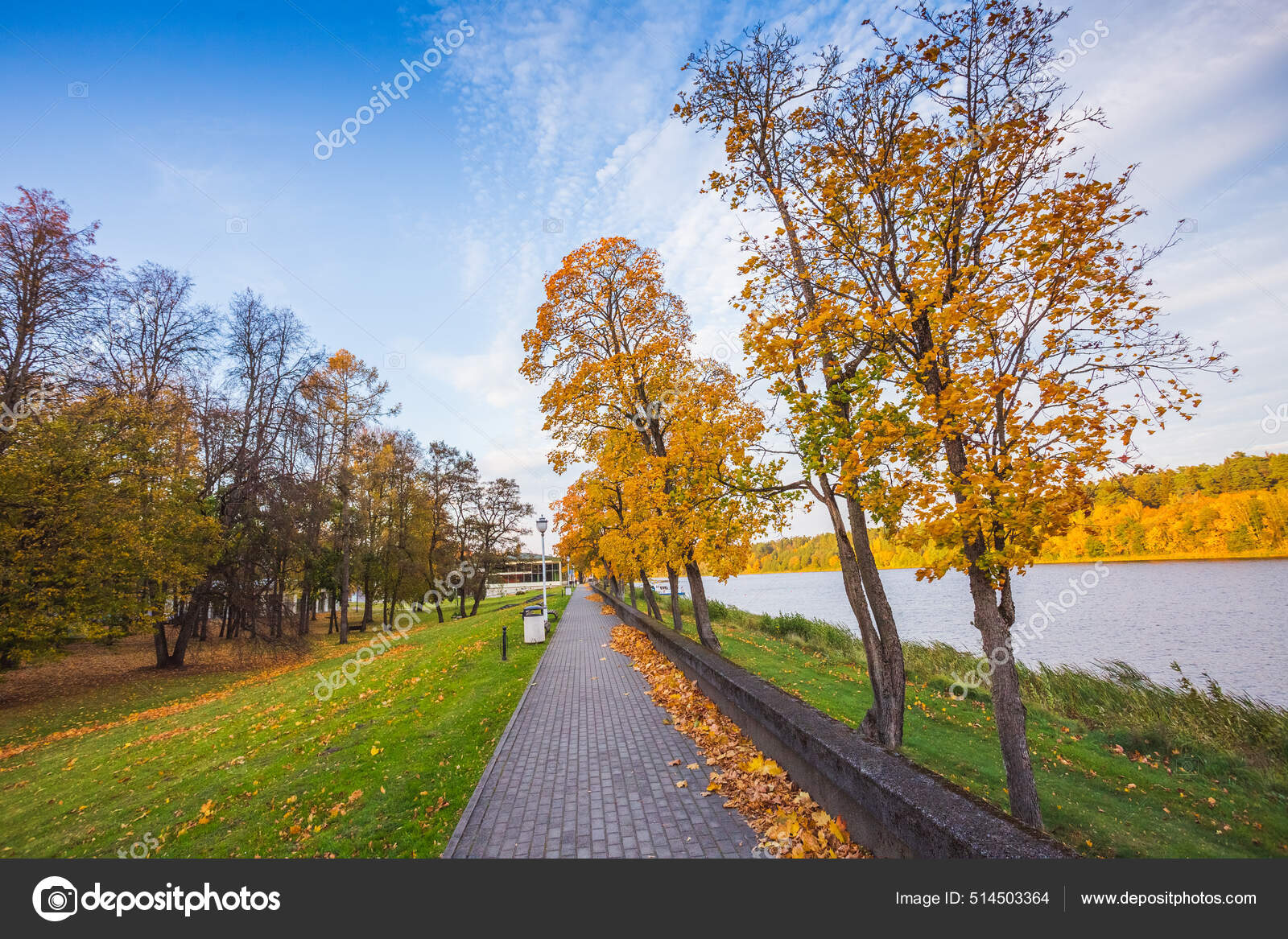 Lithuanian Landscape