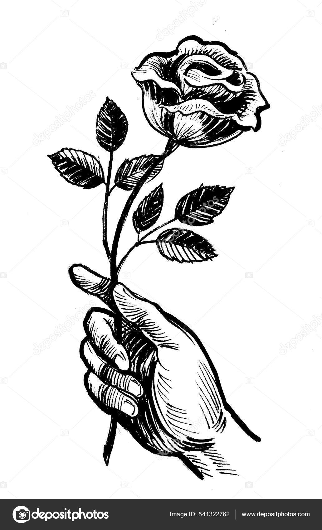 Desenho De Rosa Preto E Branco