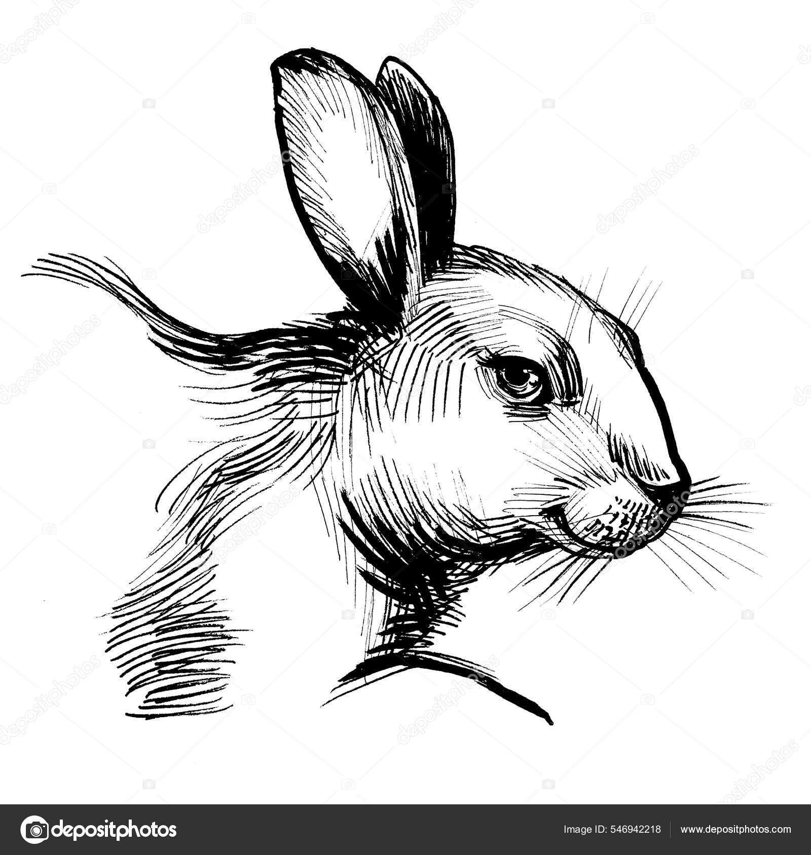 Cute Bunny Head Ink Black White Drawing Stock Illustration by ...