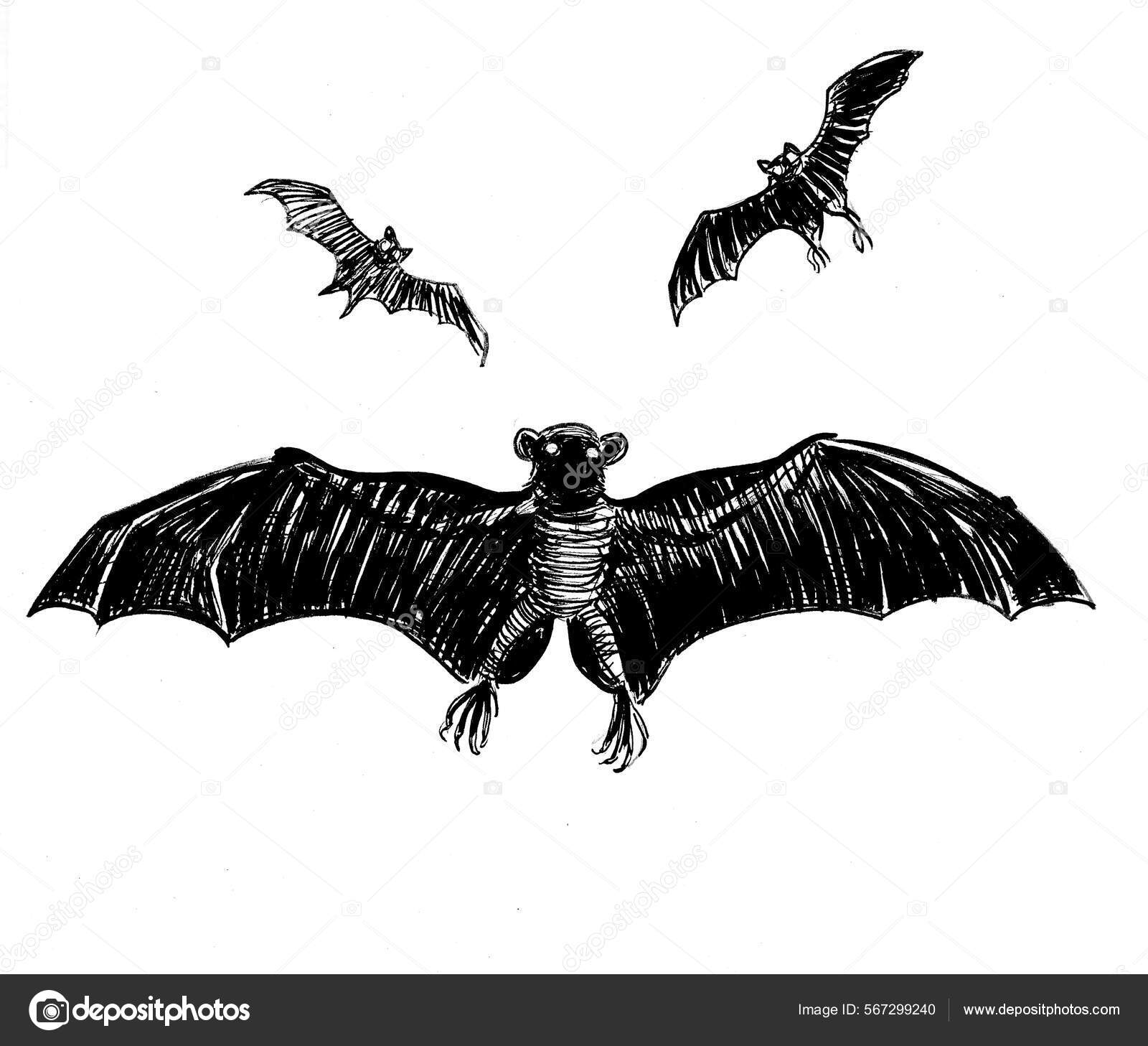 Flying Bats Ink Black White Drawing Stock Illustration by ©alexblacksea ...
