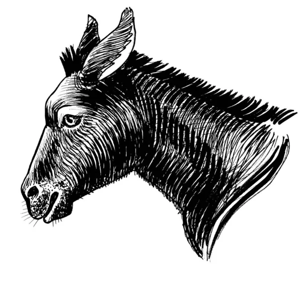 Donkey people Stock Photos, Royalty Free Donkey people Images ...