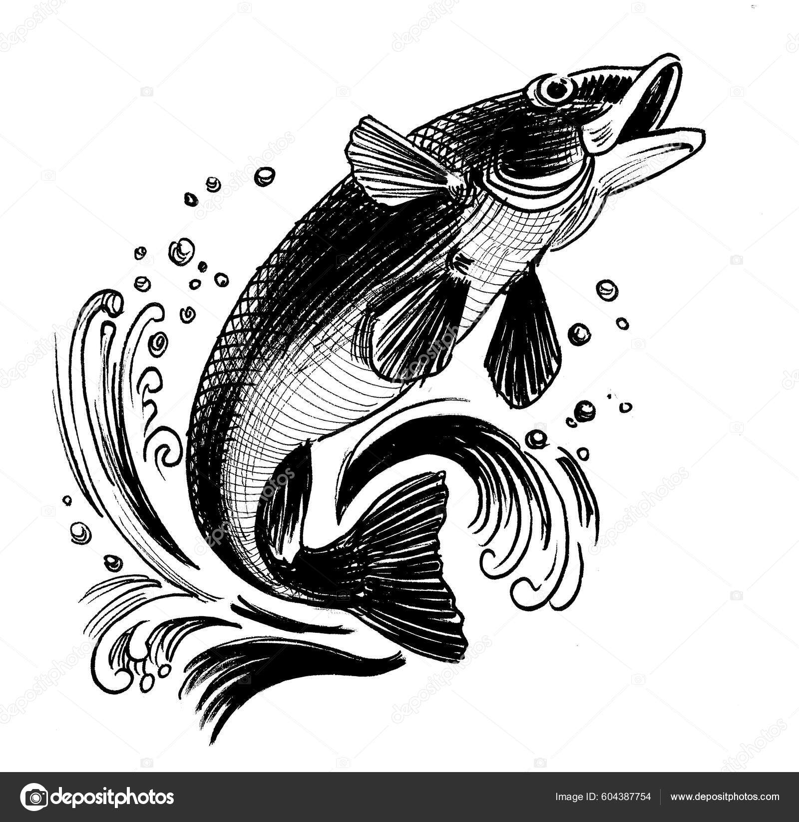 Jumping Fish Ink Black White Drawing Stock Illustration by ...