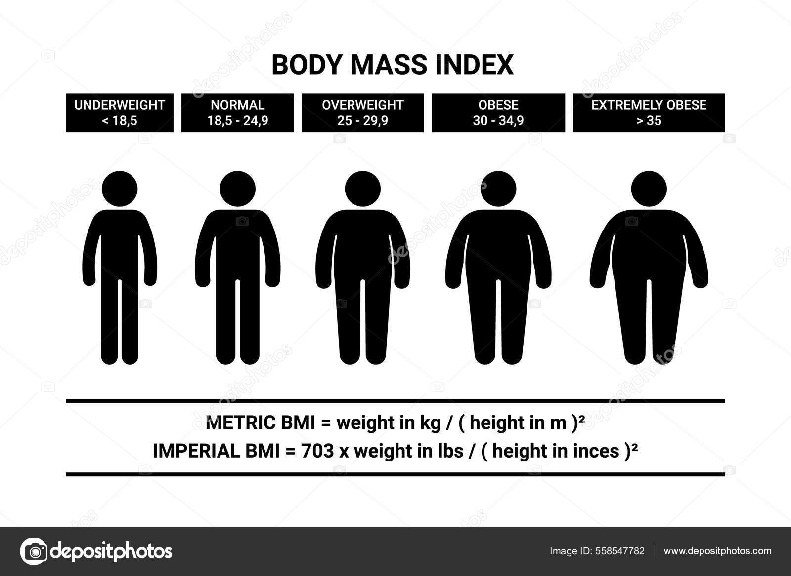 Figura palo hombre índice de masa corporal fórmula vector ilustración ...