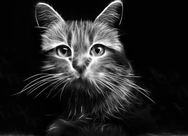 Cat picart black and white Stock Photos, Royalty Free Cat picart black ...