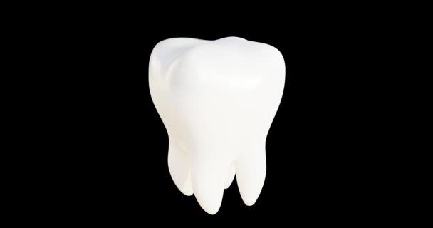 55 Fracture dentaire Videos, Royalty-free Stock Fracture dentaire ...