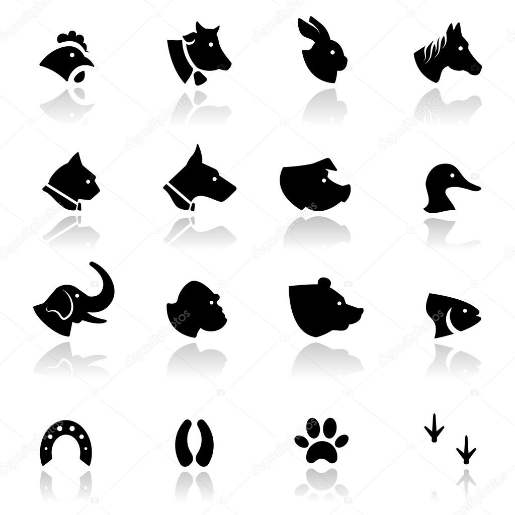 Conjunto de iconos de animales — Vector de stock #22896402 — Depositphotos