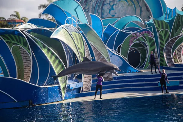 Seaworld san diego special events Stock Photos, Royalty Free Seaworld ...