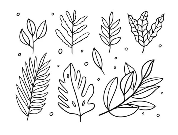 Easy Leaf Outline Clip Art