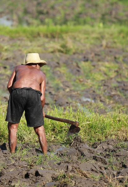 Farmer with an axe Stock Photos, Royalty Free Farmer with an axe Images ...