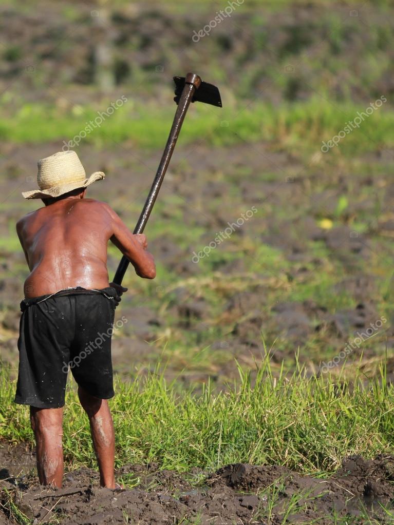 Man Farming Stock Photo by ©ozphotoguy 47259227
