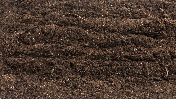 Plant Soil Texture