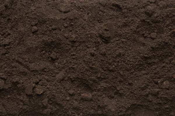 Coco peat background Stock Photos, Royalty Free Coco peat background ...