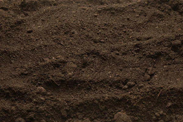 Dirt Layers Texture